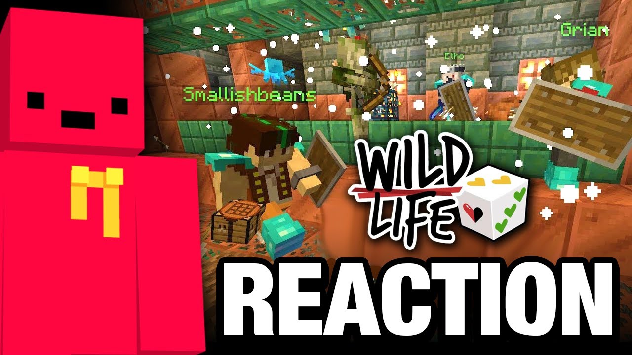 Wolfeei reacts to Wild Life Smallishbeans POV (Ep.6) - YouTube