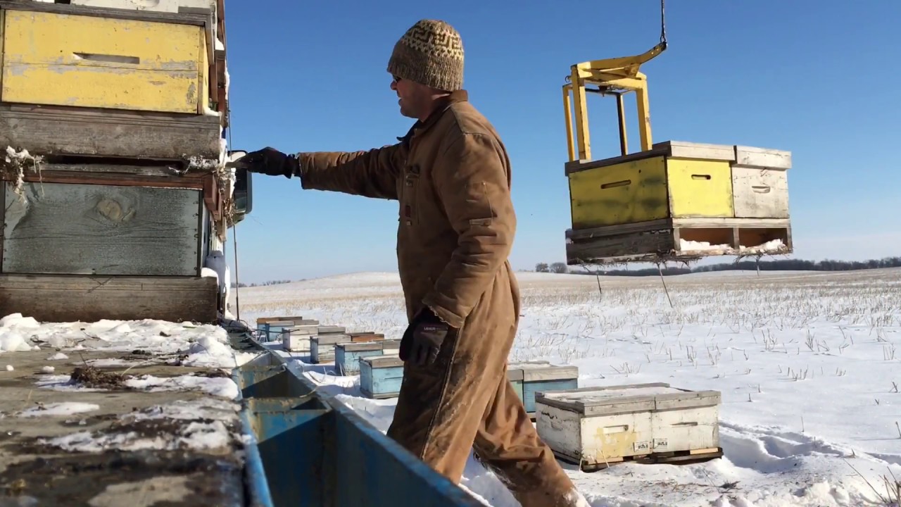 Loading hives off frozen ground with an Ezyloader 300- a Canadian ...