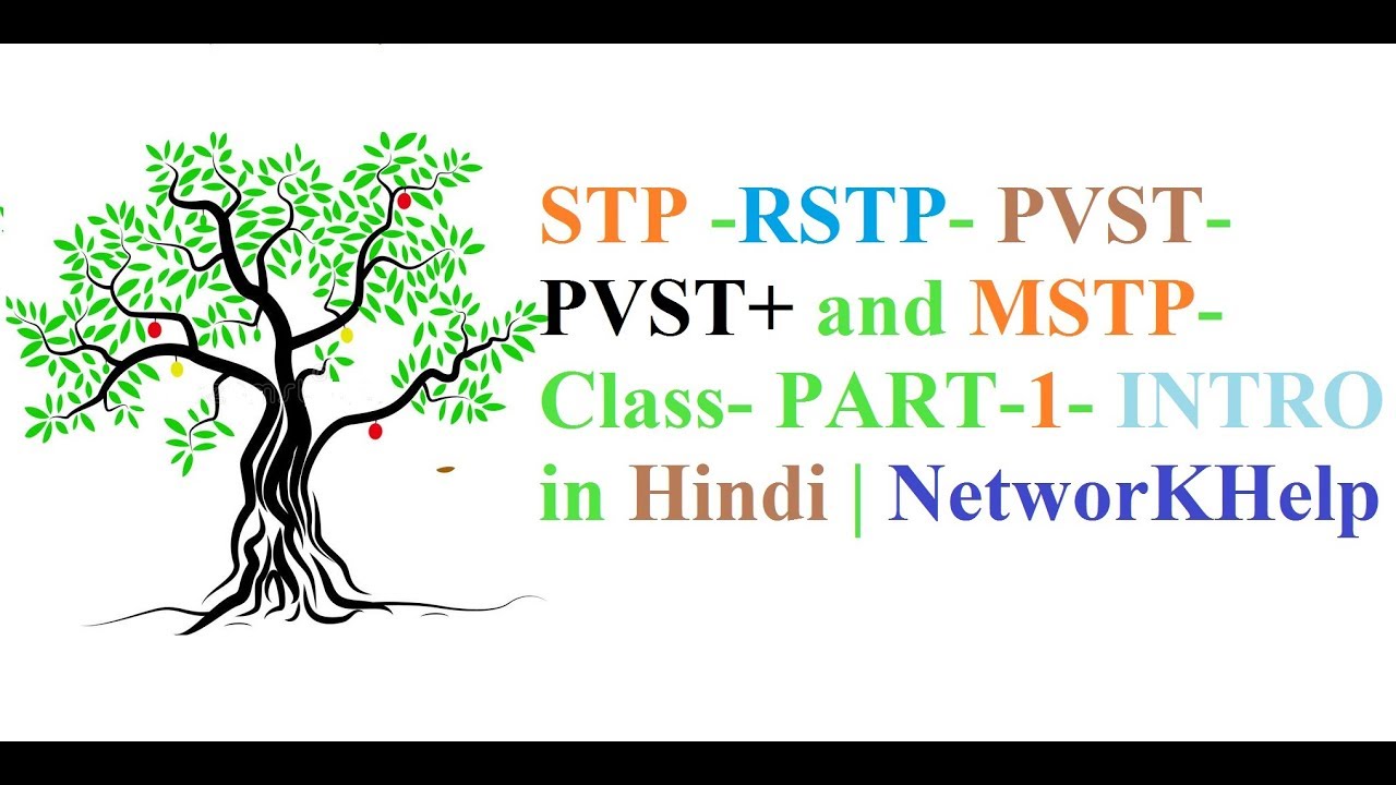 STP -RSTP- PVST- PVST+ and MSTP- Class- PART-1 || in Hindi | NetworKHelp - YouTube