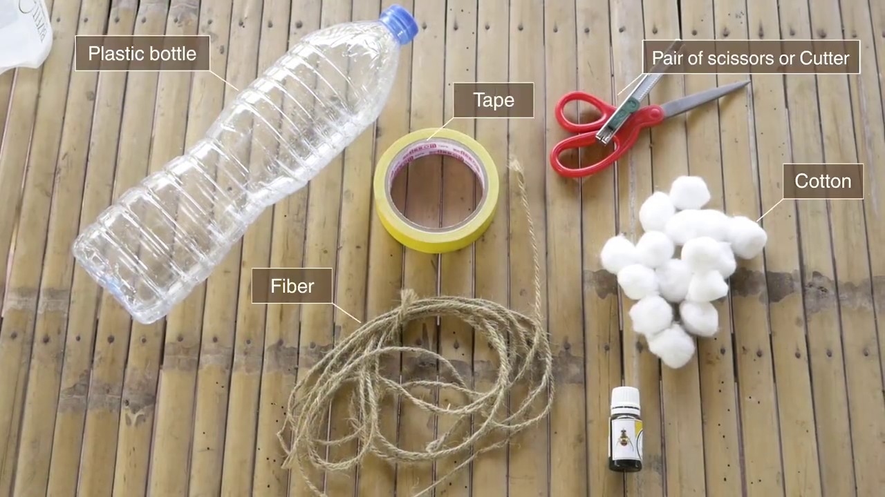 How to install and set up fruit fly management - YouTube