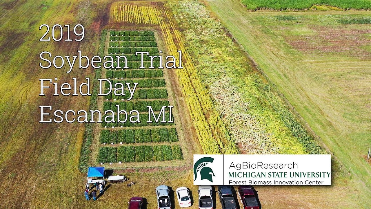 2019 soybean trail field day - YouTube