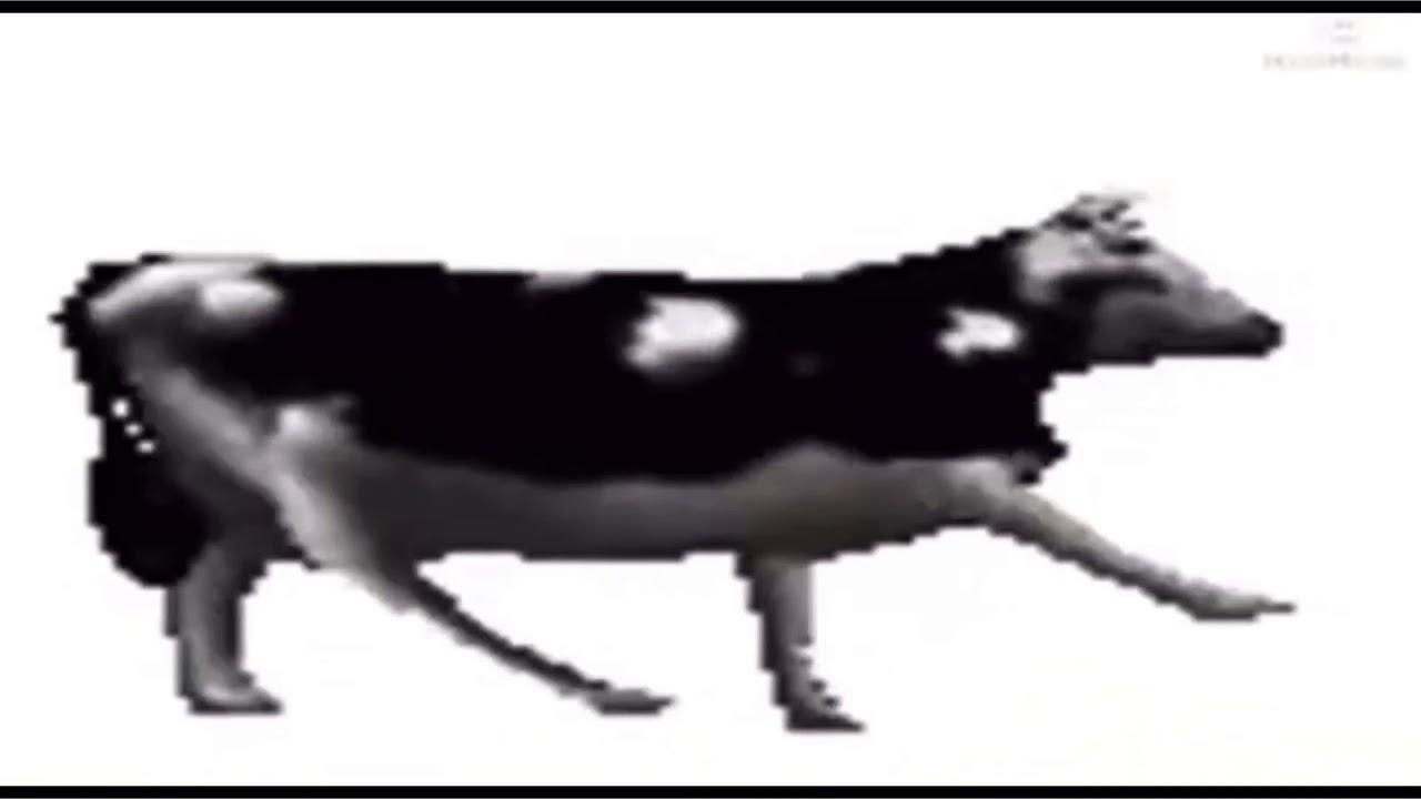 Polnische Kuh tanzt meme - YouTube