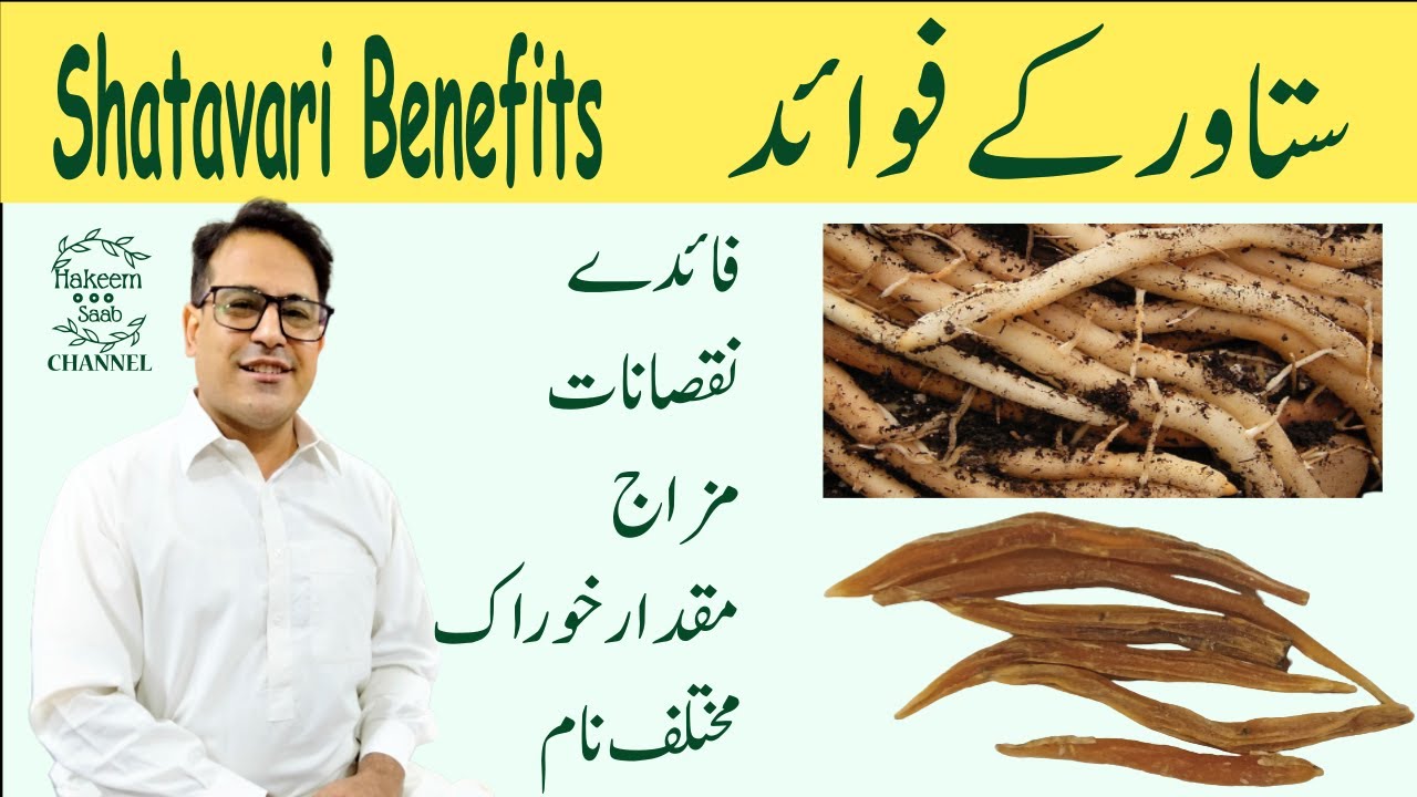 SATAWAR / SHATAVARI KE FAYDE | ASPARAGUS BENEFITS | ستاور - YouTube