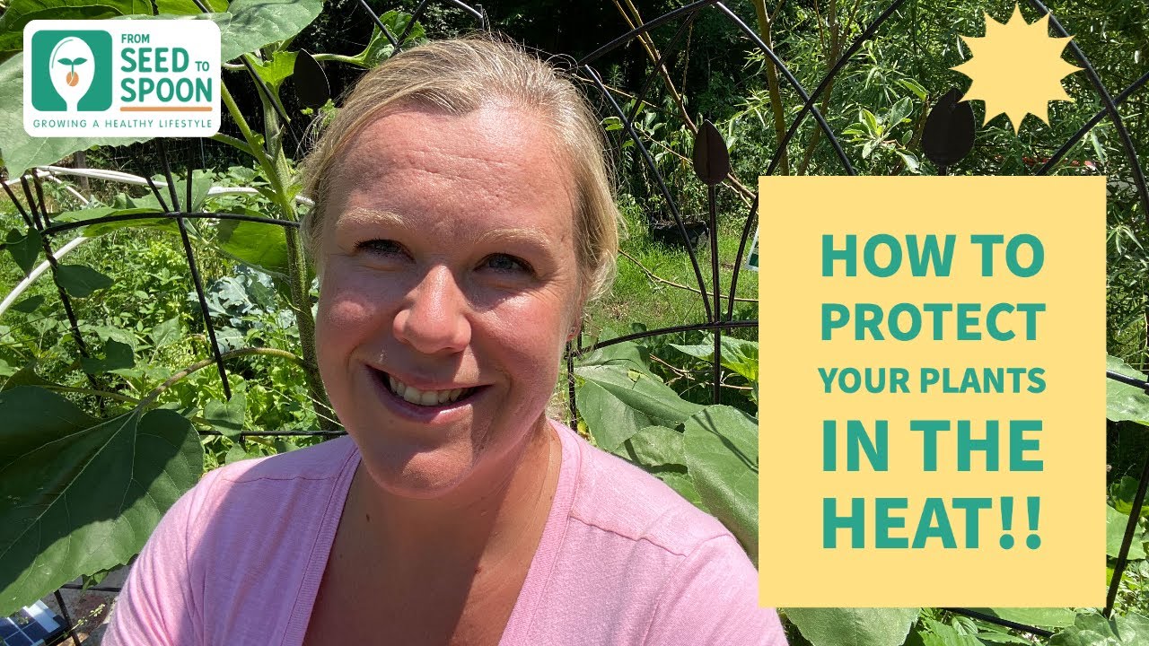 🌱 Tips & Tricks to Protect Your Plants in the HOT SUMMER HEAT! - YouTube