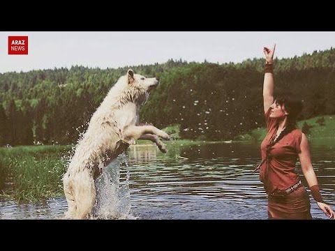 Bozkurt Efsanesi  بوزقورد افسانه سی