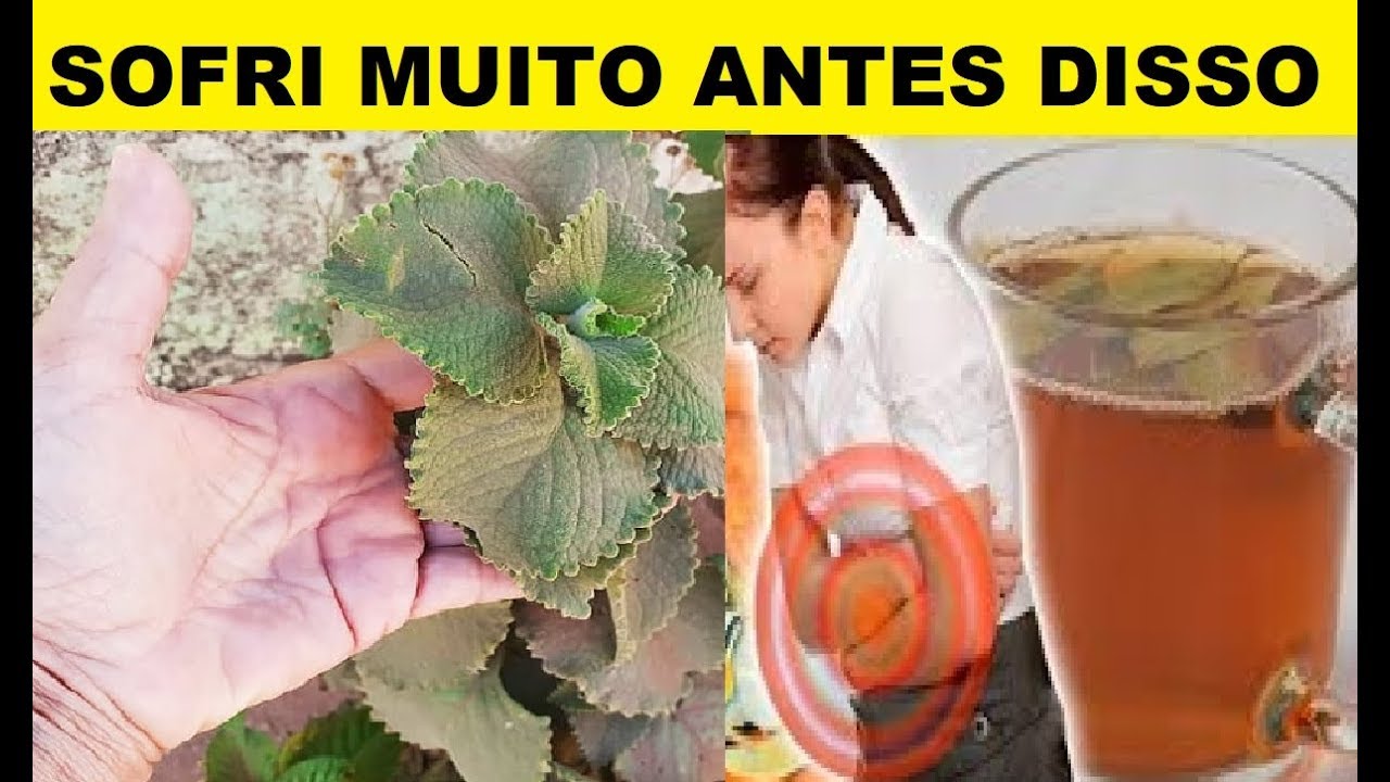 Tomei CHÁ DE MALVA Por 3 Dias e Essas Maravilhas Aconteceram Com Meu ...