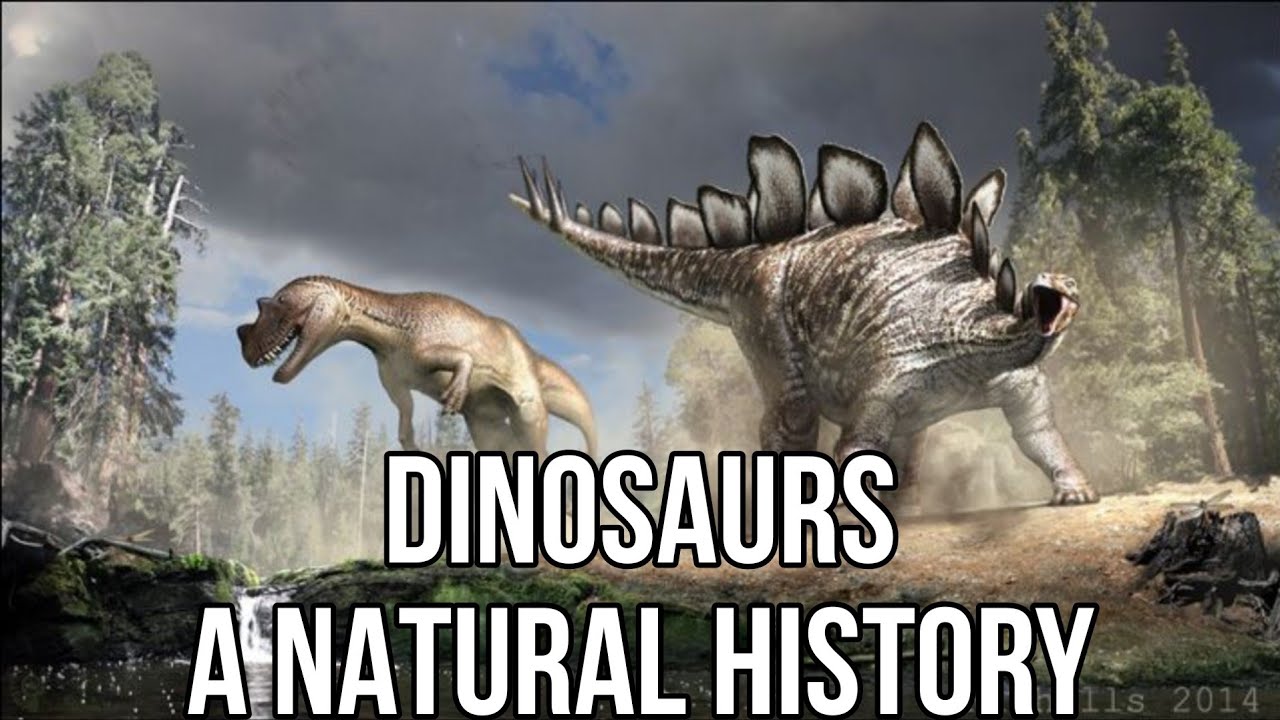Dinosaurs A Natural History Part 4 (Biology Anatomy and Species) - YouTube