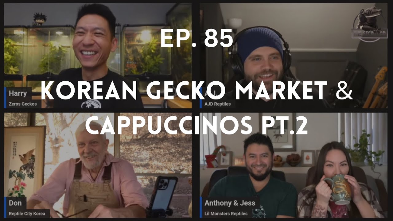 Korean Gecko Market & Cappuccinos Pt. 2 w/ RCK Don | Ep. 85 of The ...