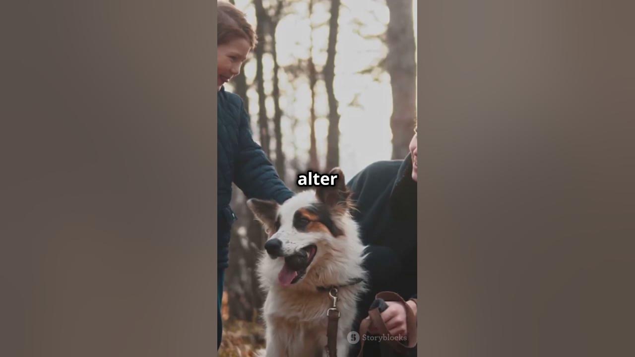 Time travel ethics: #facts - YouTube