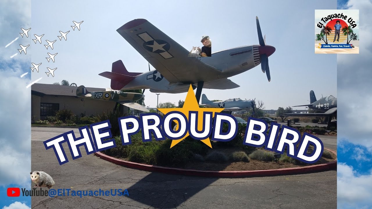 The Proud Bird - YouTube