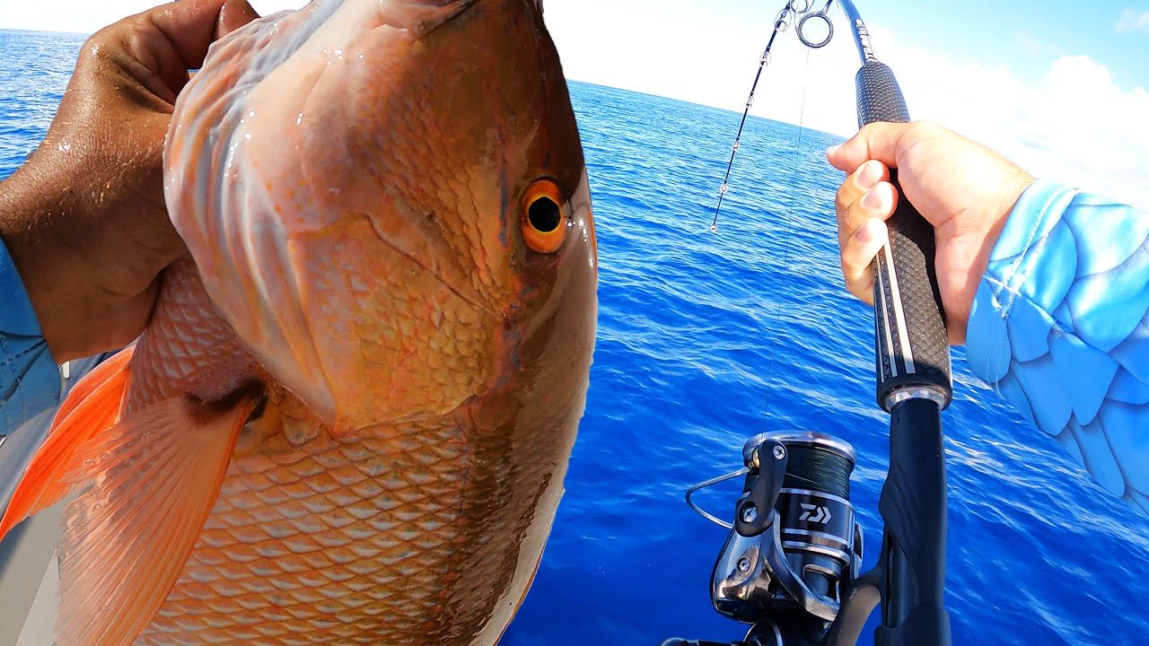 Catching Mutton snapper on the Islamorada Humps {Catch N Cook} - YouTube