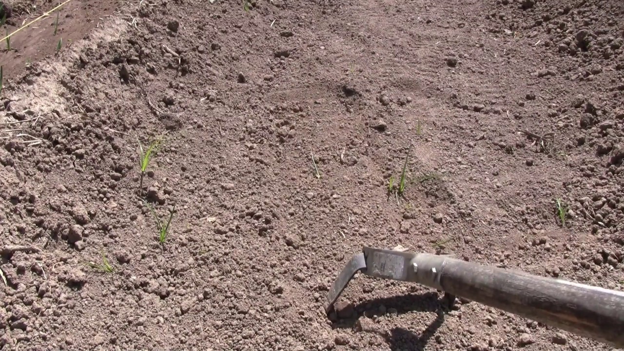 Two Way Hoe - Assembly and use - YouTube