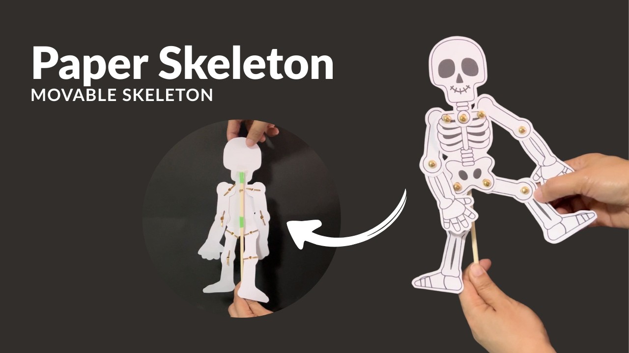 Paper Skeleton Craft | Skeletal System - YouTube