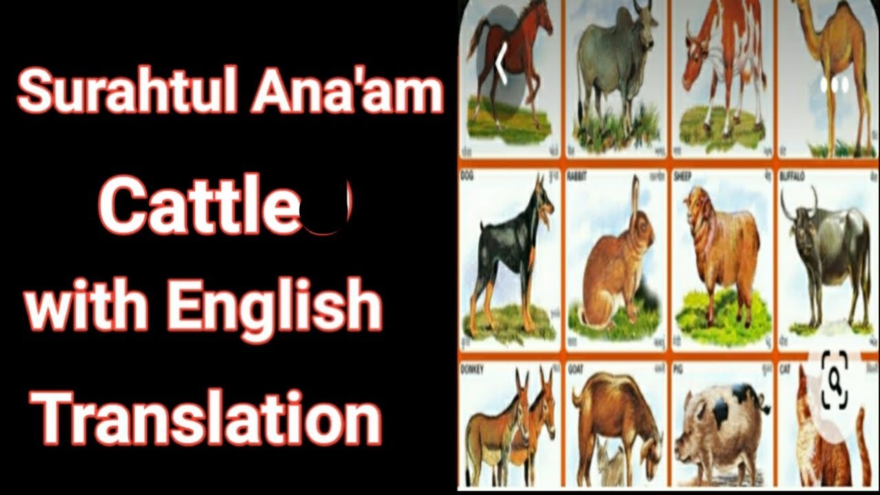 06.Surahtul Ana'am.( Aayah 86-90) with English translation by ustazah ...