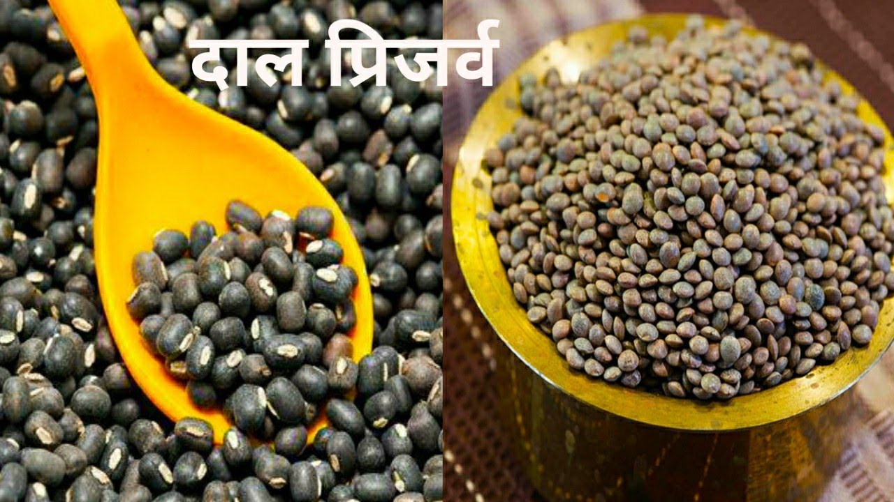 How to Preserve Daal And Whole Cereals For Long Time /दाल और साबुत अनाज ...