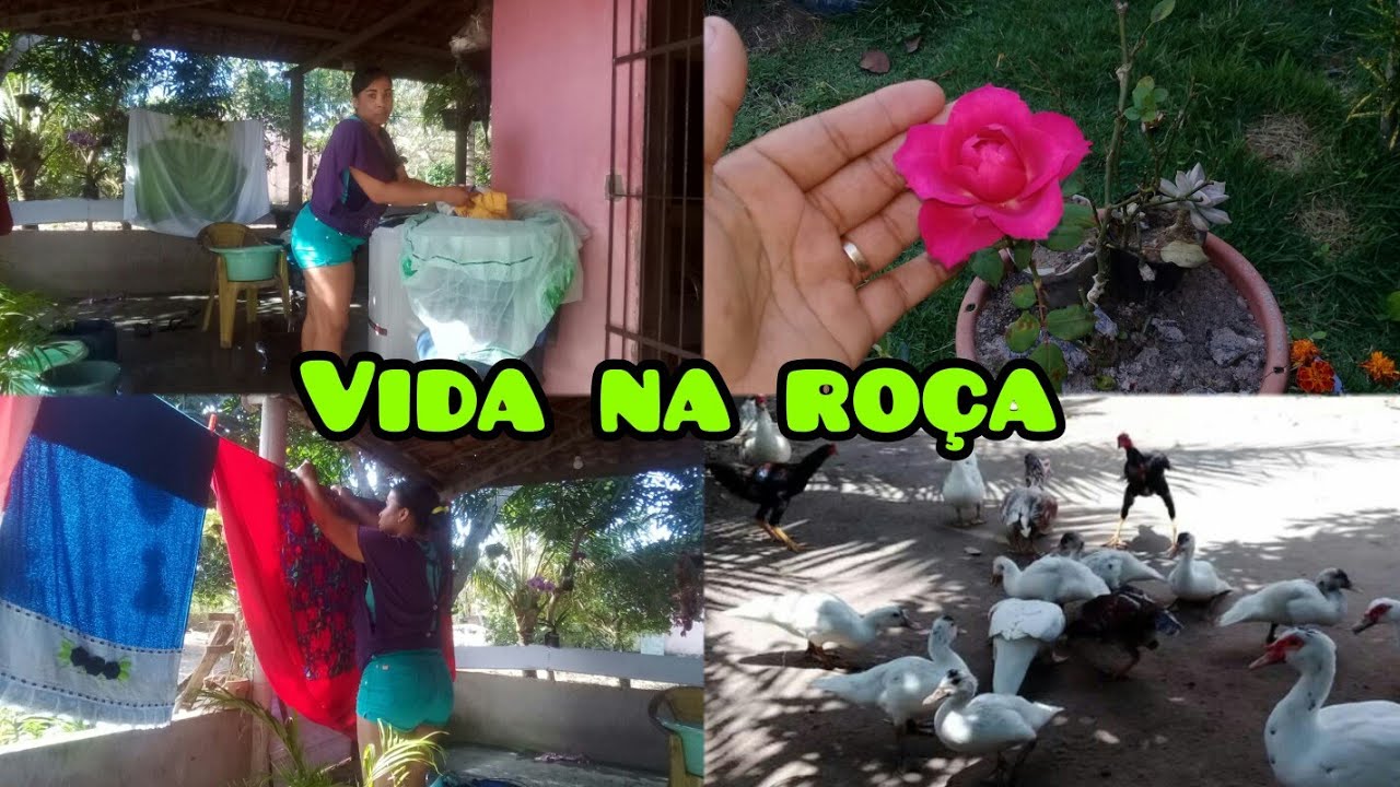 VIVENDO uma #VIDA simples ao lado da natureza 🐓🐦 lavei muitas ROUPAS ...