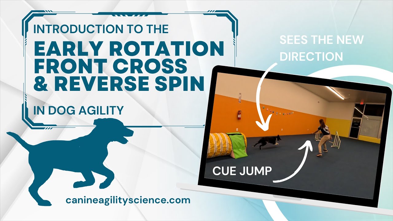 Early Rotation Front Cross & Reverse Spin in Dog Agility - YouTube