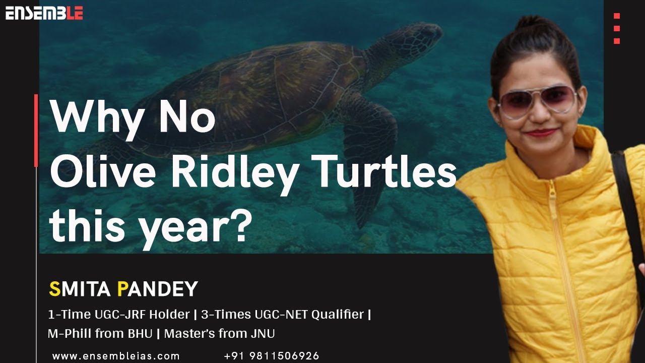 OLIVE RIDLEY TURTLES | ANIMALS IN NEWS | UPSC PRELIMS EXAM | ENSEMBLE ...