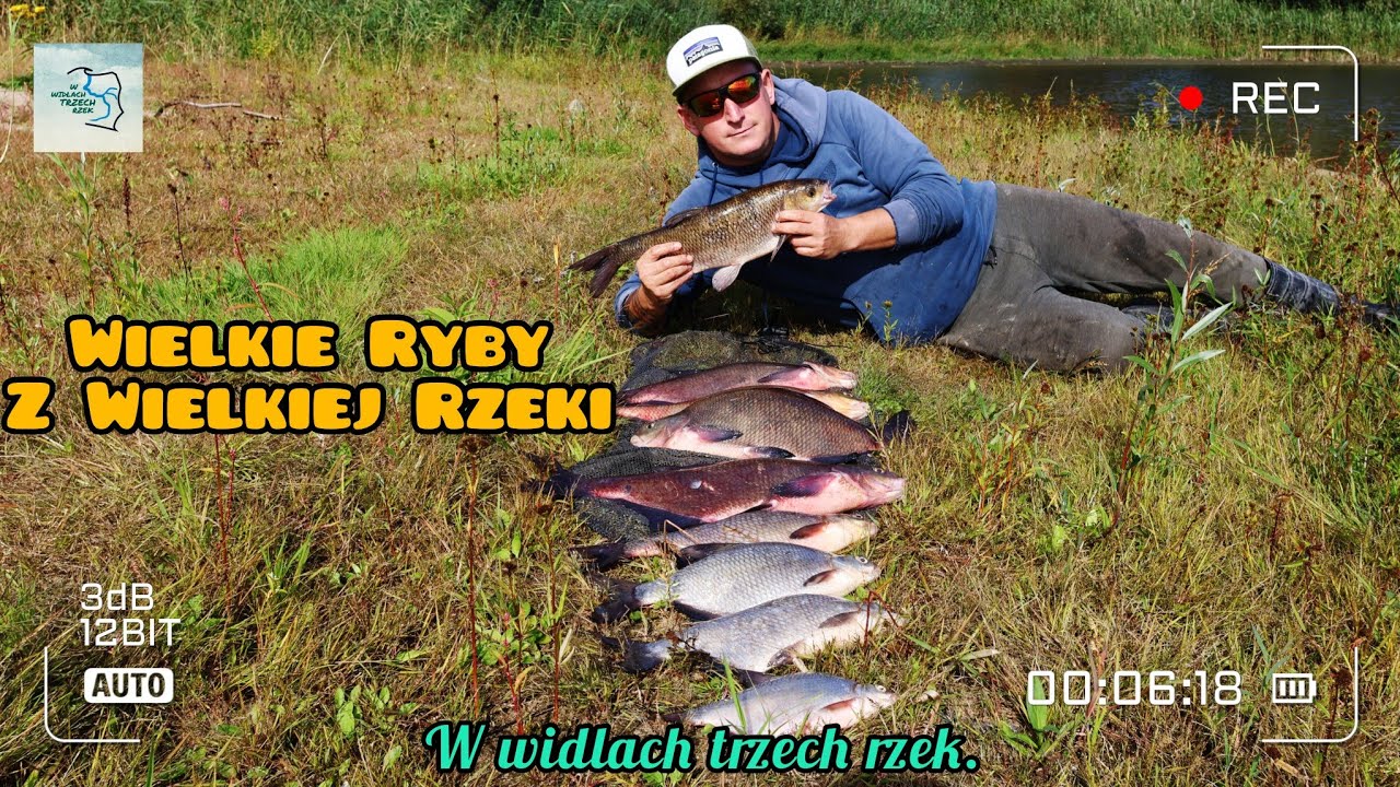Wielkie Ryby z dużej rzeki!!! Cudowny początek jesieni! - YouTube