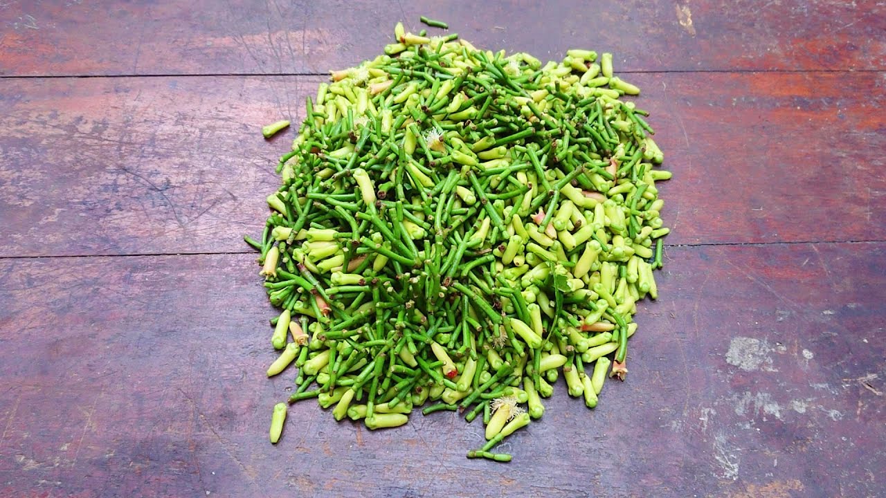 CLOVE Sorting New method | cloves cleaning machine | cloves cleaning ...