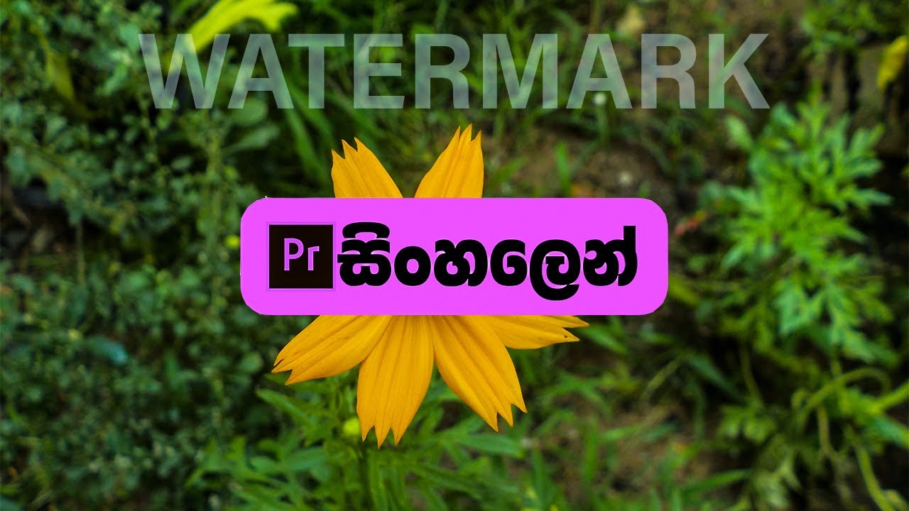 How to add watermark to a video - Adobe Premiere Pro Tutorial - YouTube