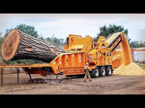 Monster Logging Machines at Work | Extreme Tree Cutting & High ...