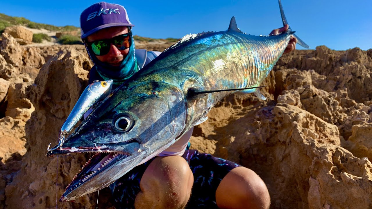 LANDING BIG MACKEREL OFF HUGE CLIFFS - YouTube