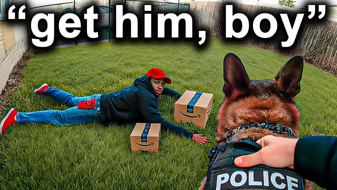 When K-9 Units TAKE DOWN Bad Guys - YouTube