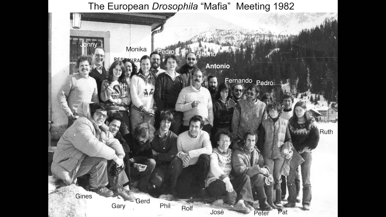 Waddington Medal Lecture- Phil Ingham - YouTube