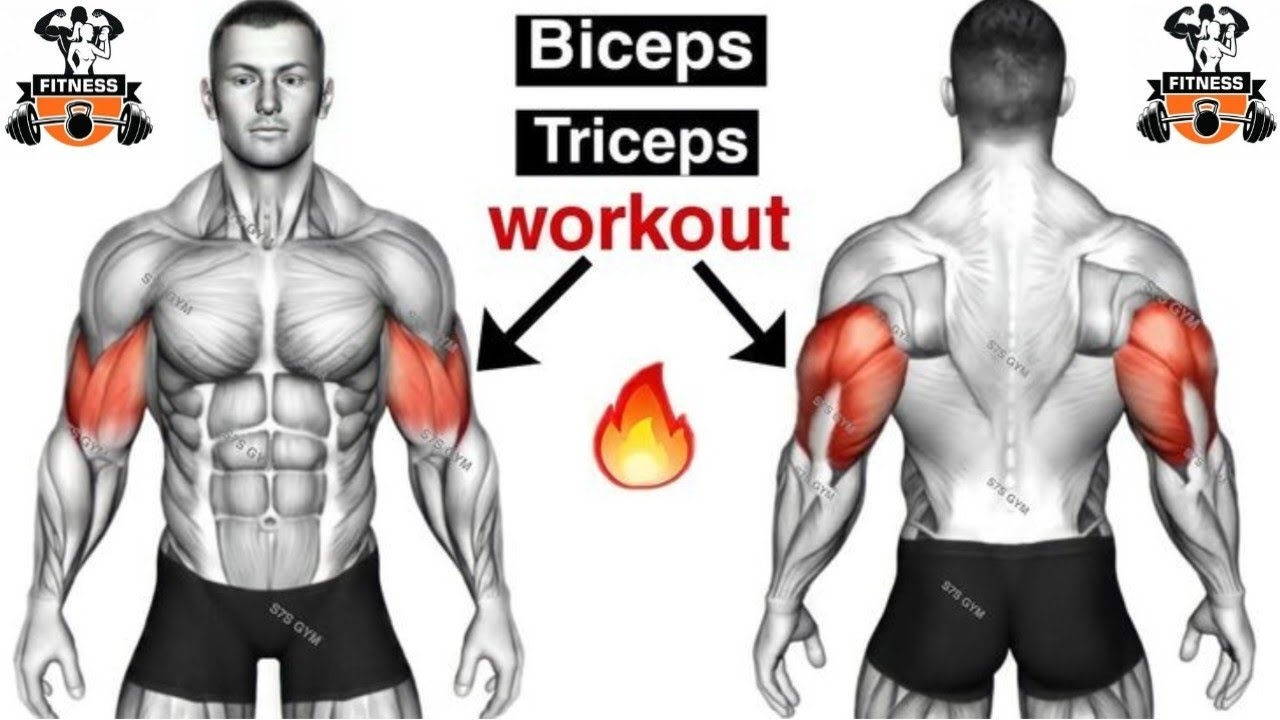 Biceps and Triceps Workout Guide | Best Biceps and Triceps Workout At ...
