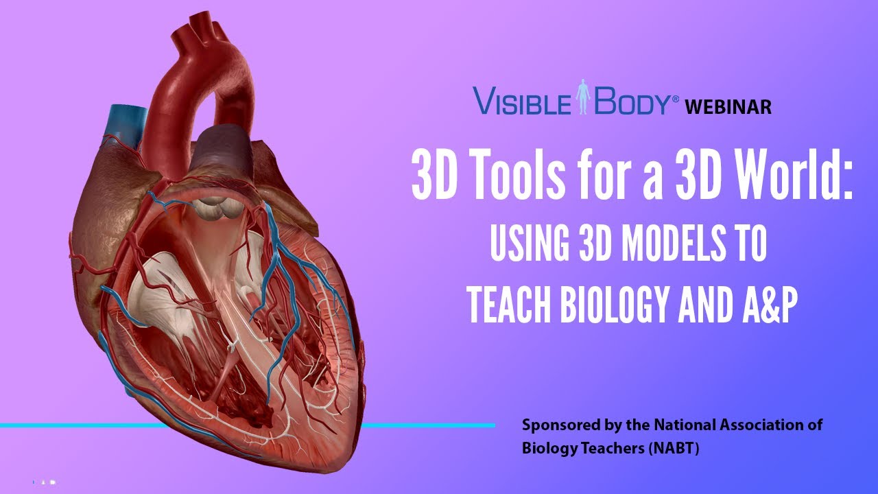Visible Body Webinars | 3D Tools for a 3D World | NABT webinar - YouTube