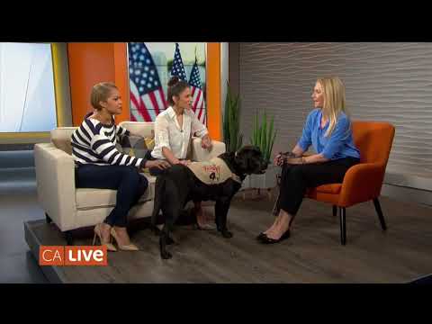 Sara & Zuma Talk America's VetDogs on California Live