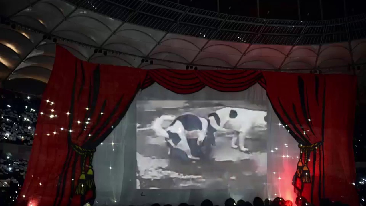 Coregrafie PCH la Dinamo - FCSB 30.11.2016 - YouTube