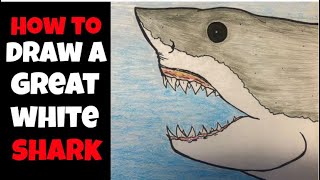 How To Draw A Great White Shark Step By Step For Kids
