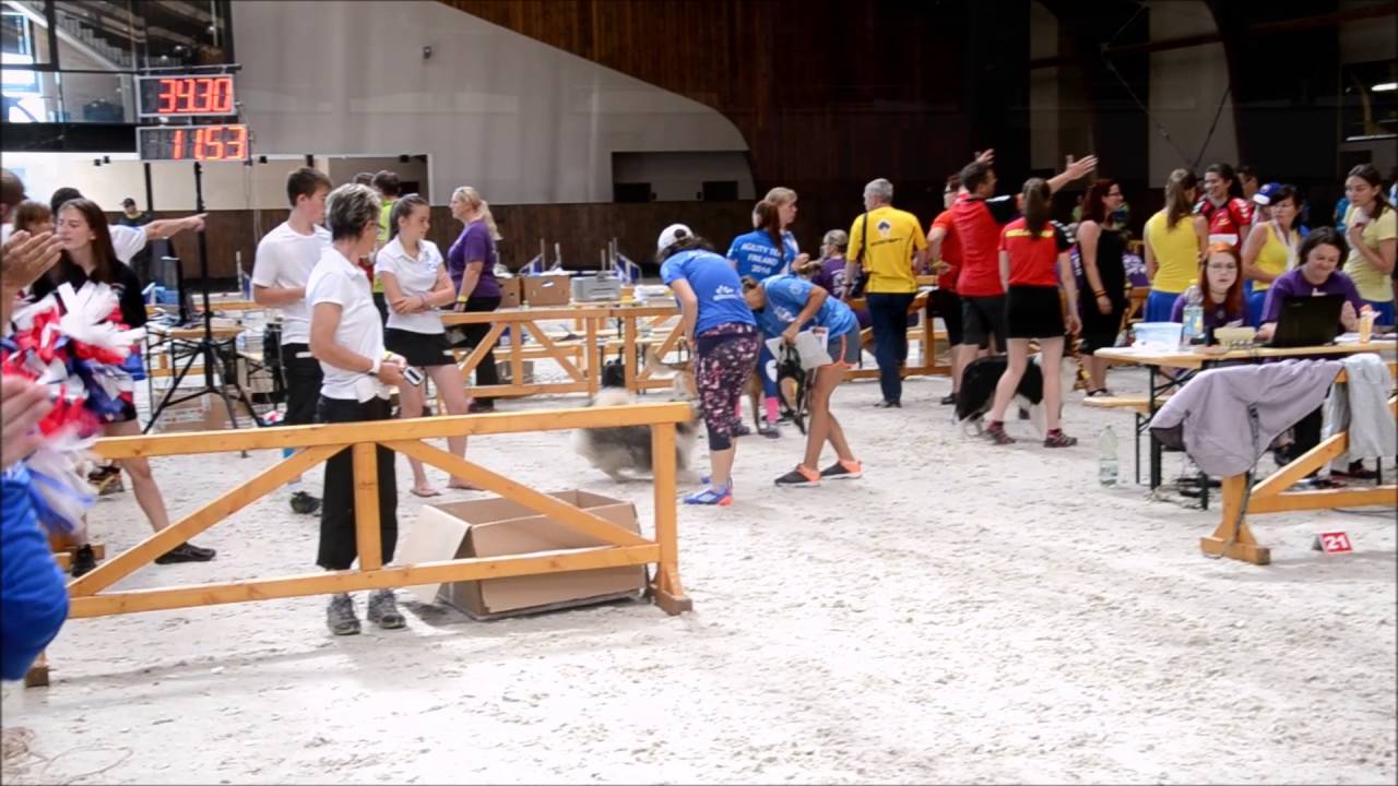 Agility European Open Junior 2016 - YouTube