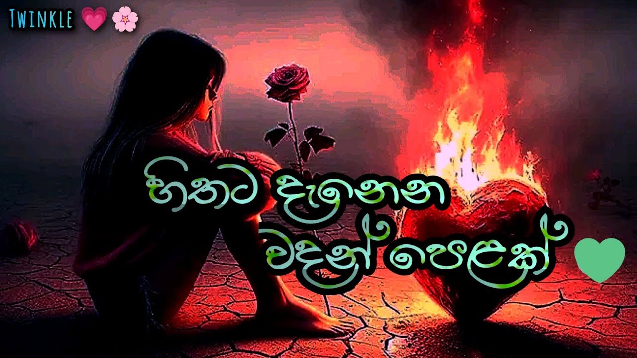 හිතට දැනෙන වදන් එකපෙළට 👀🌸💗🩶🫀|| wadan || sinhala wadan || whtsapp qutoes ...