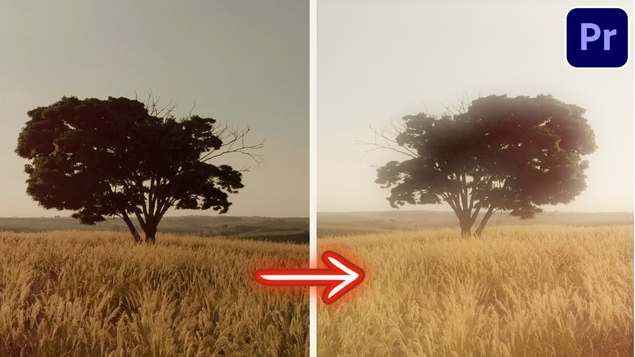 How to Make Dreamy Effect in Premiere Pro - YouTube