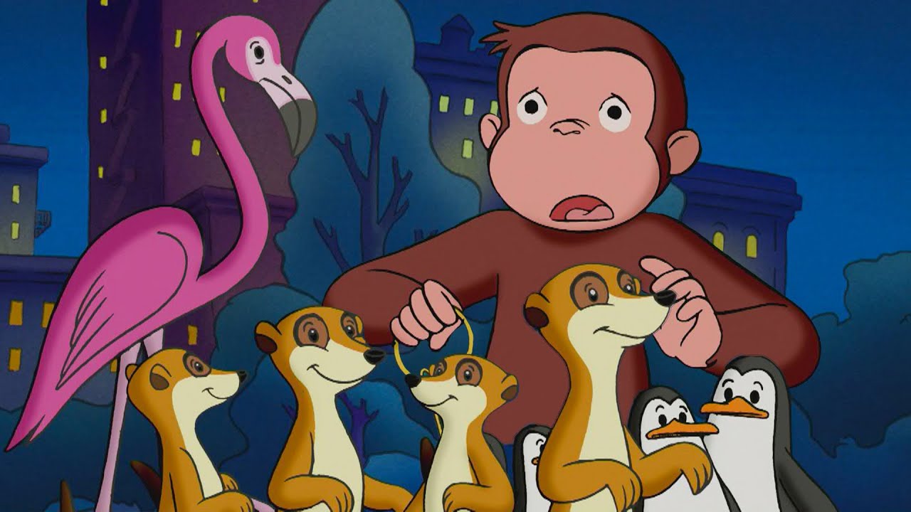 ¡Jorge deja libres a todos los animales! | Jorge El Curioso En Español ...