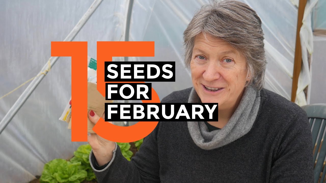 What To Sow In FEBRUARY | Easy to grow crops - YouTube