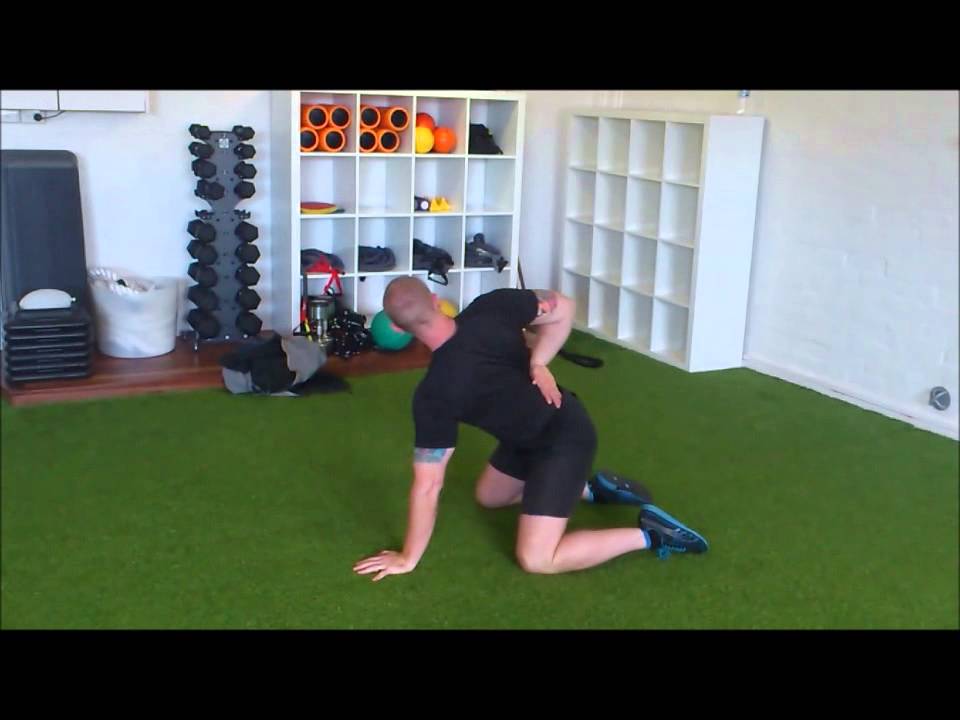 quadruped t-spine internal rotation - YouTube