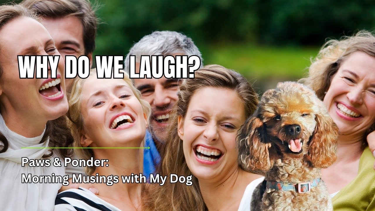 Why do we laugh? Let's explore the science and psychology behind ...