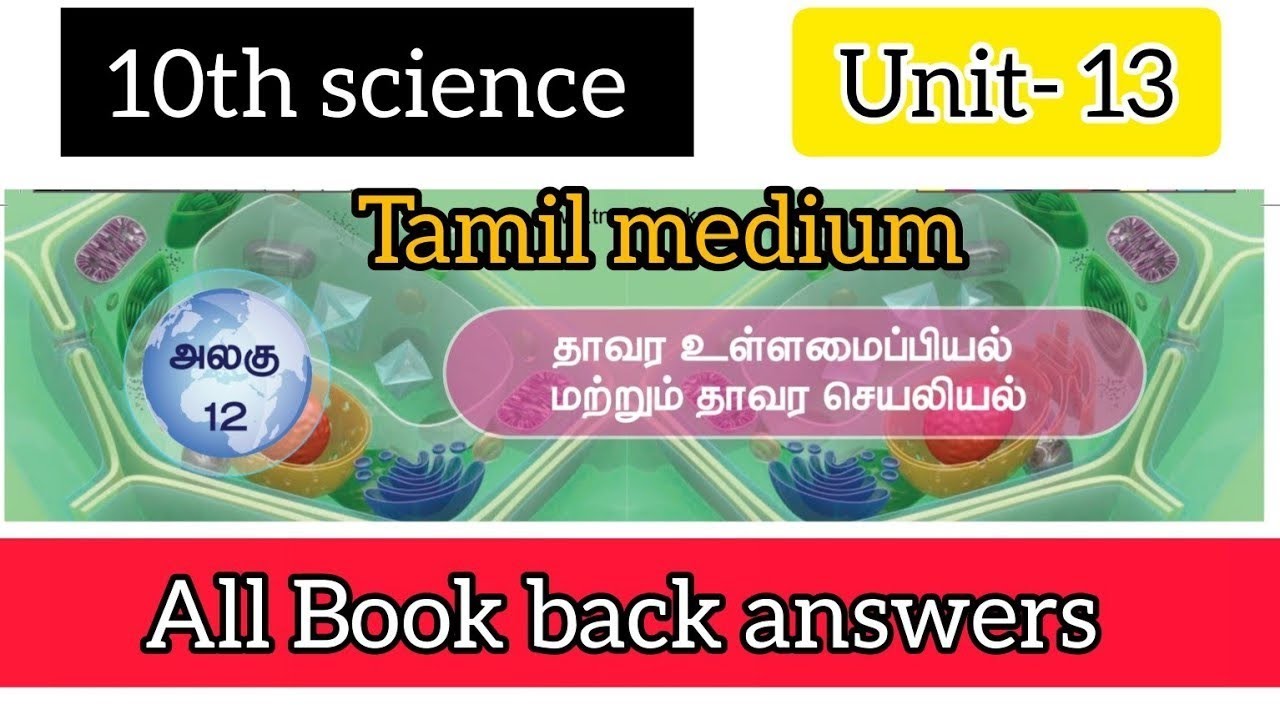 10th std science unit 13 book back answer in Tamil medium - YouTube