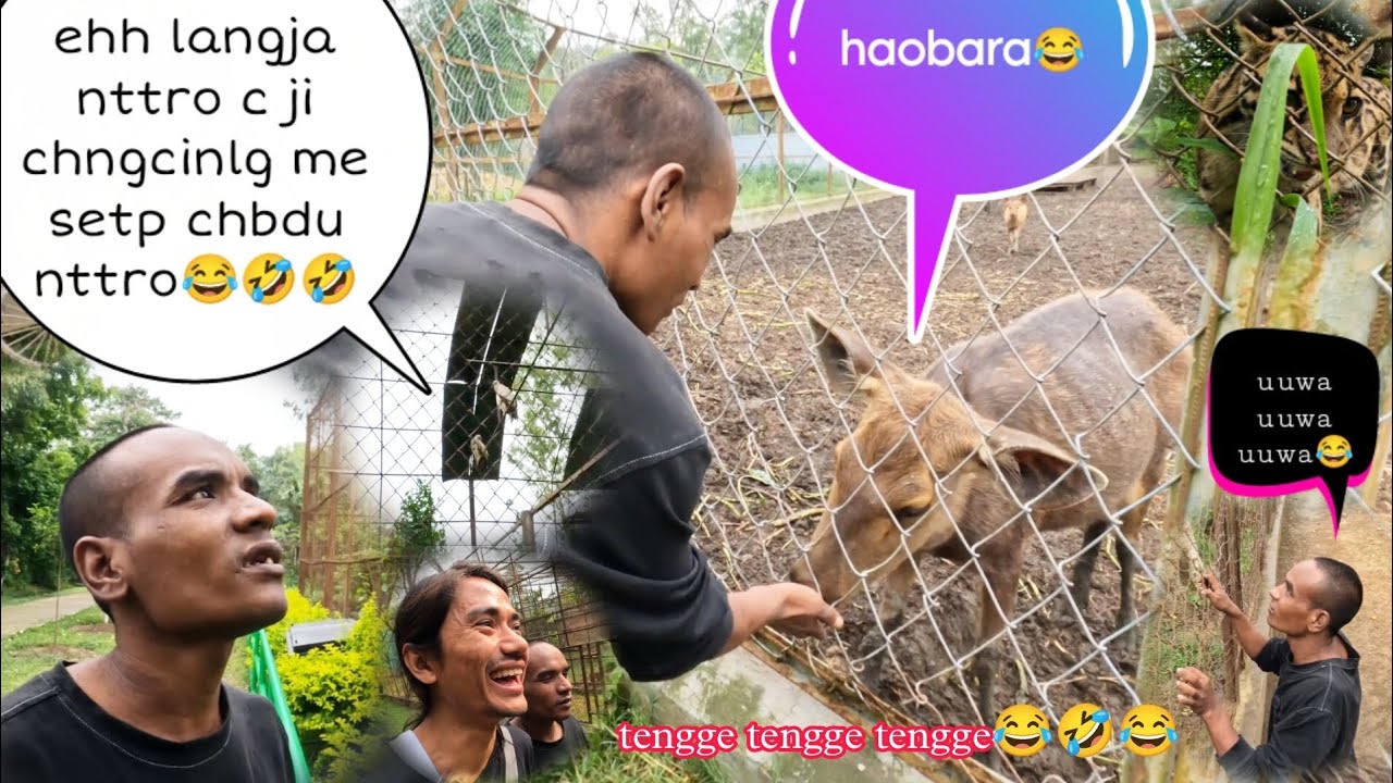 Manipur Zoological Garden || Eroisemba Zoo Part 2 @KhulaiBoy tengge ...