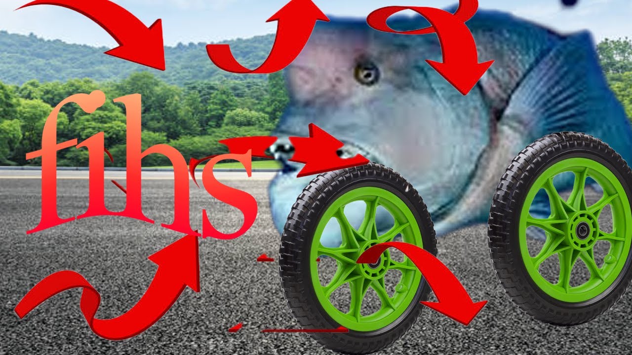 fish car - YouTube