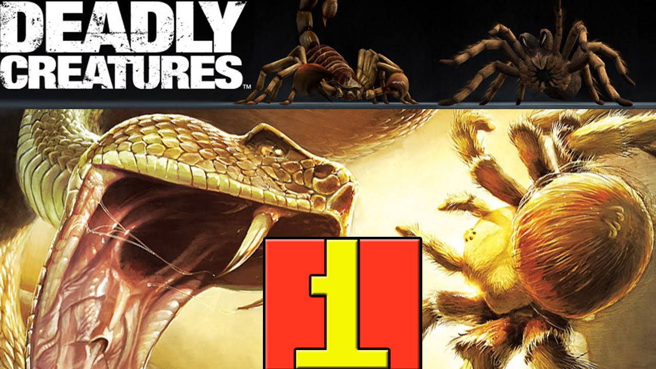 Let's Play Deadly Creatures (Wii Gameplay) Part 1 - Totally Spy-ders ...