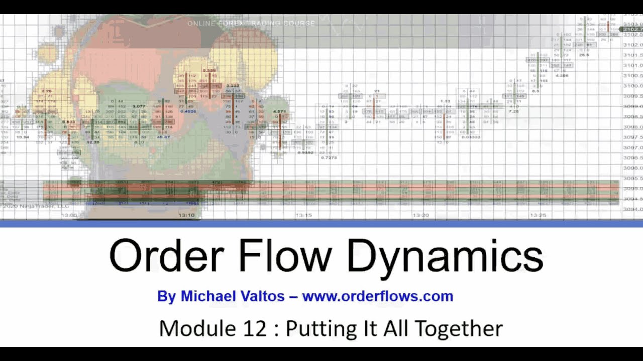 Order Flow Dynamics Module 12 Putting It All Together new - YouTube