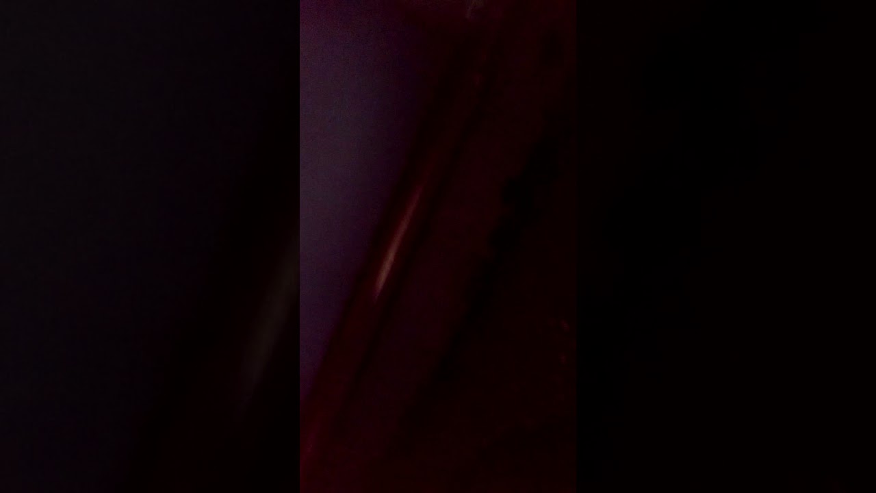 Liliana Youtube