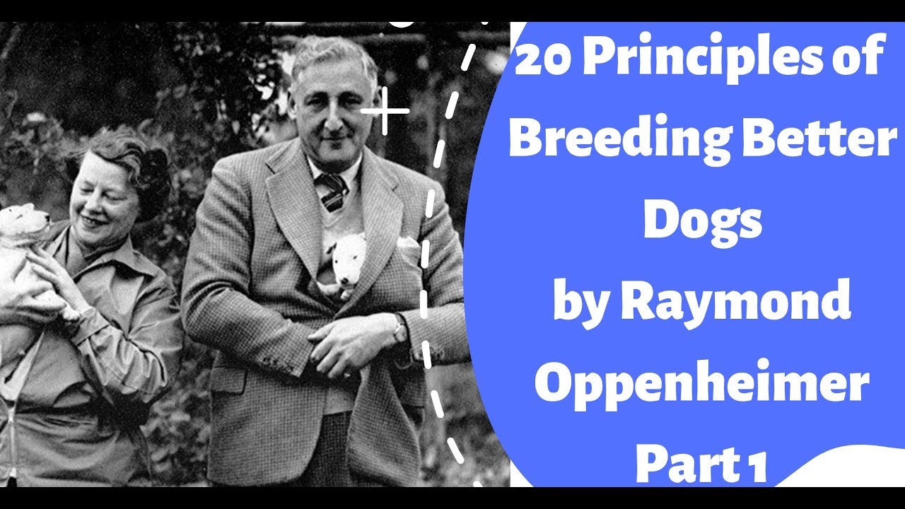 20 Principles of Breeding Better Dogs by Raymond Oppenheimer P.1 - YouTube