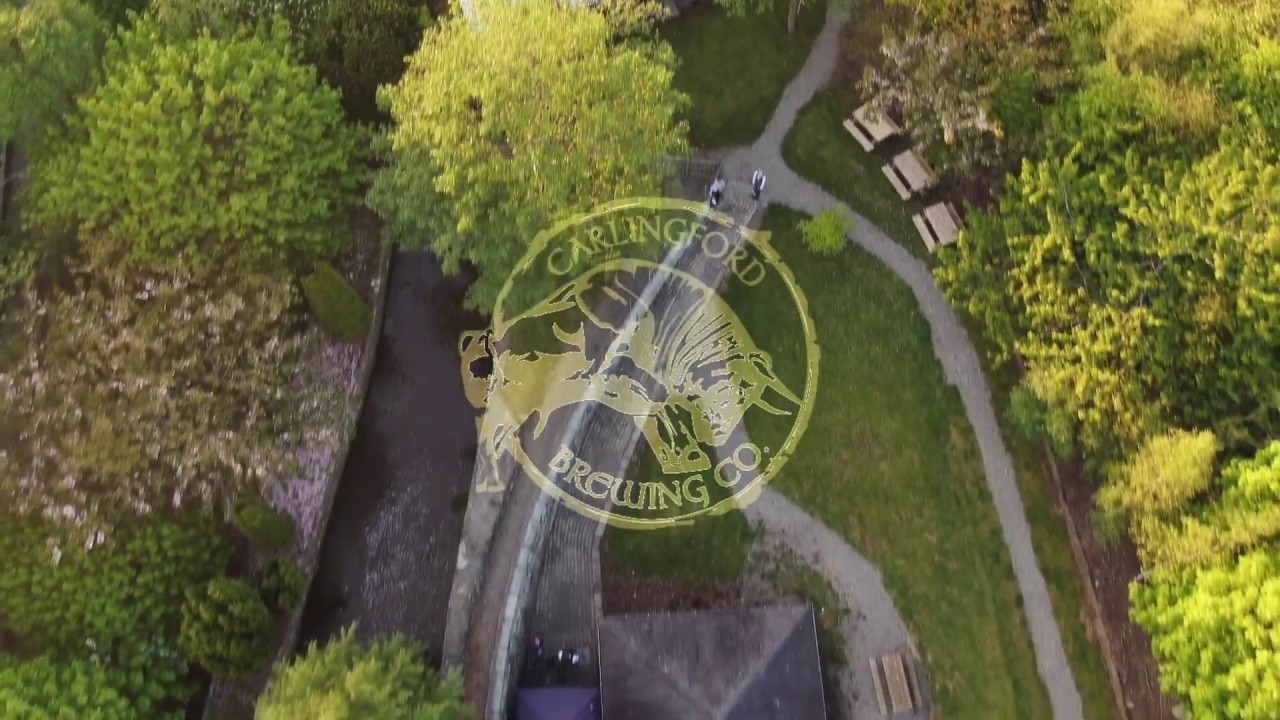 Carlingford Brewing Company - YouTube