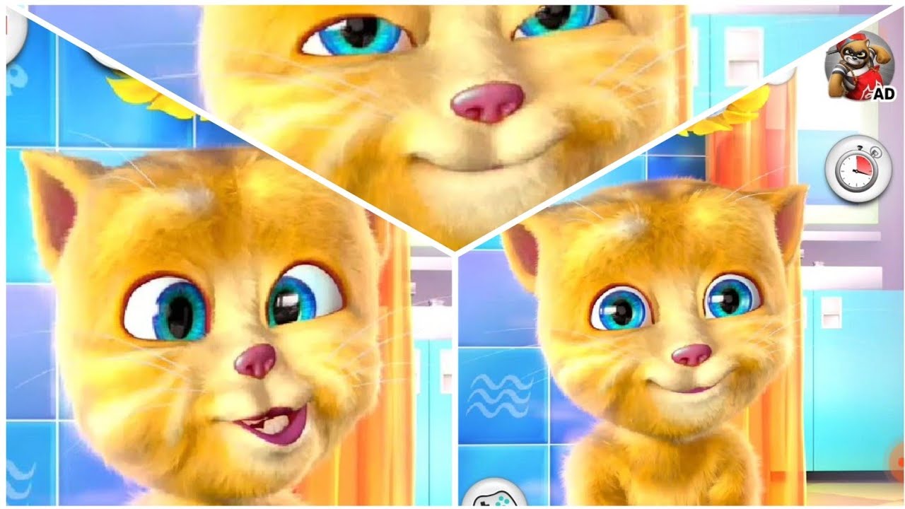 Talking Ginger ️‍🔥🌿🍅 ️‍🔥🍉 - YouTube